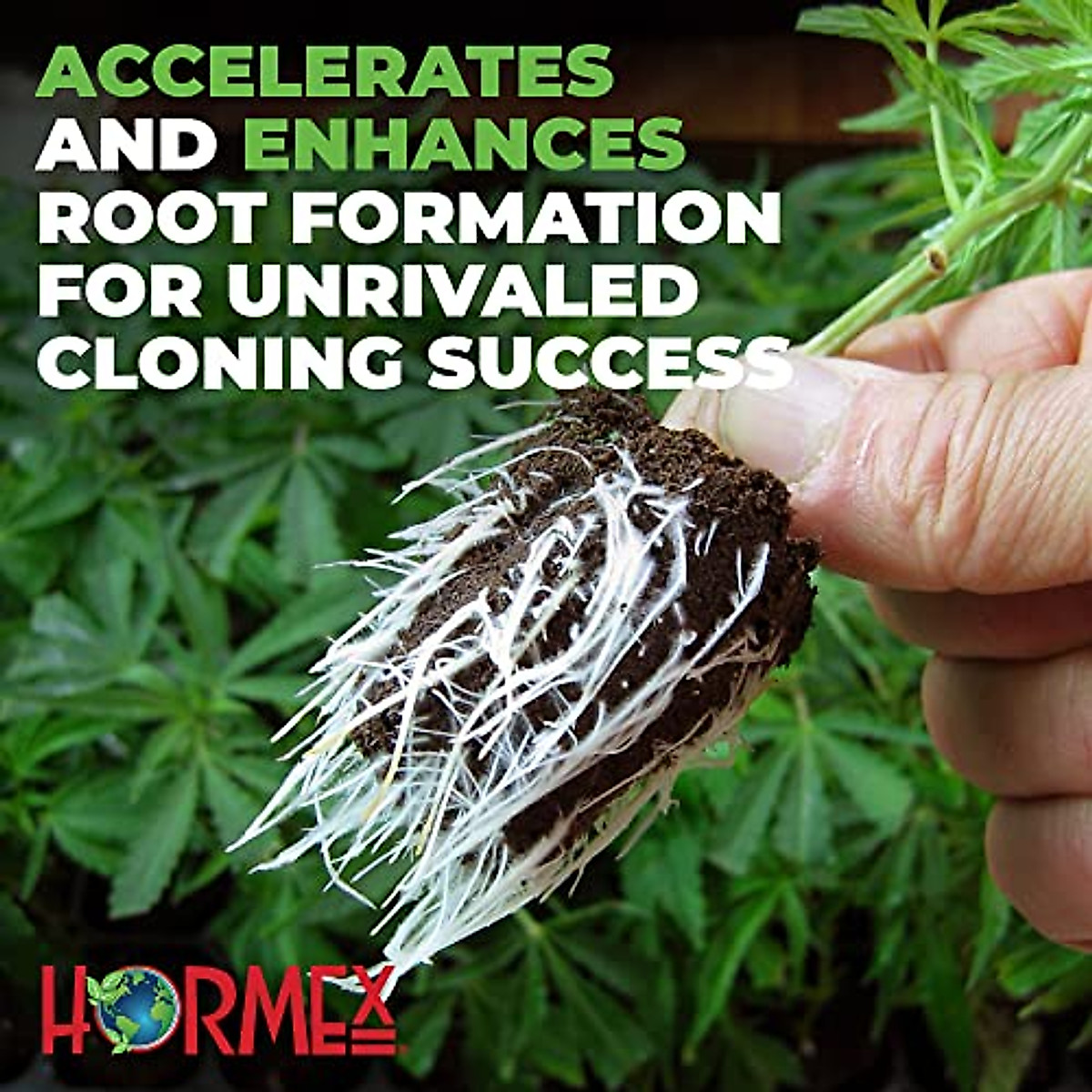 Hormex Rooting Powder #1,3,8 Bundle - for Easy to Moderately Difficult to Root Plants - Fast & Easy - Free of Alcohol, Dye, Gel & Preservatives for Healthier Roots, 63g