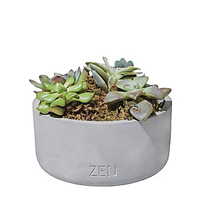 Generic Zen Candles - Concrete Plant Pot Decor Reusable Amber Wood Jasmine Baccarat Rouge Sandalwood Violet Le Labo Santal Oud Vanilla Bond Nomad Musk Rose (Oud & Vanilla, Medium), Gray