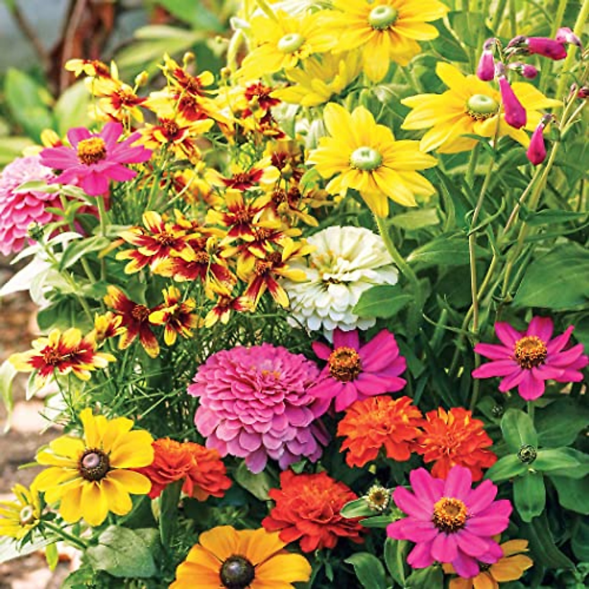 Collections Etc Roll Out Flower Seeded Mats That Attract Butterflies - Set of 2, Butterfly