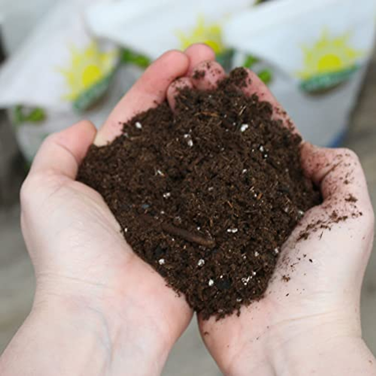 Hoya Plant Potting Soil Mix (4 Quarts), Custom Blend for Growing Hoya Tropical Houseplants