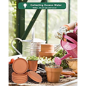 4 Inch Small Terracotta Pot Plant Saucer - 6 pcs Small Round Plant Pot Saucers, Small Clay Plant Trays Perfect for 3 Inch 3.5 Inch 4 Inch Flower Pot with Drainage Hole and Great for Indoor or Outdoor