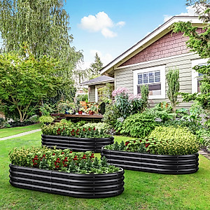 NovDeco Raised Garden Bed, 6x3x1ft Galvanized Oval Raised Planter Bed Outdoor, Rot-Resistant Metal Planter Box for Vegetables Flowers Herb Patio Ground