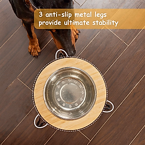 Yangbaga Elevated Dog Bowl for Large Dogs,16.3in High Extra Large Dog Bowl Stand,Comes with a Stainless Steel Bowl with Capacity of 2L Water or 2.2LBs of Dog Food
