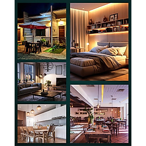 PACETAP 18W H-Shaped Replacement Bulbs Compatible with 18W Indoor Outdoor Lamps, 2G11 18Watt Single Twin Tube Bulb with 4 Pin Base for Home