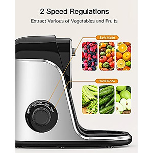 Juicer Machine, Slow Masticating Juicer with 2 Speed Modes & Reverse Function, Easy to Clean Juicer BPA-Free Cold Press Juicer with Quiet Motor, Includes Cleaning Brush & Recipes for Vegetables and Fruits