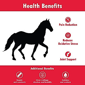 Joint MAX Triple Strength EQ GRANULES for Horses - Support Joint Health - Glucosamine, Chondroitin - Vitamins, Minerals, Omega 3 Fatty Acids, Antioxidants - 180 Doses