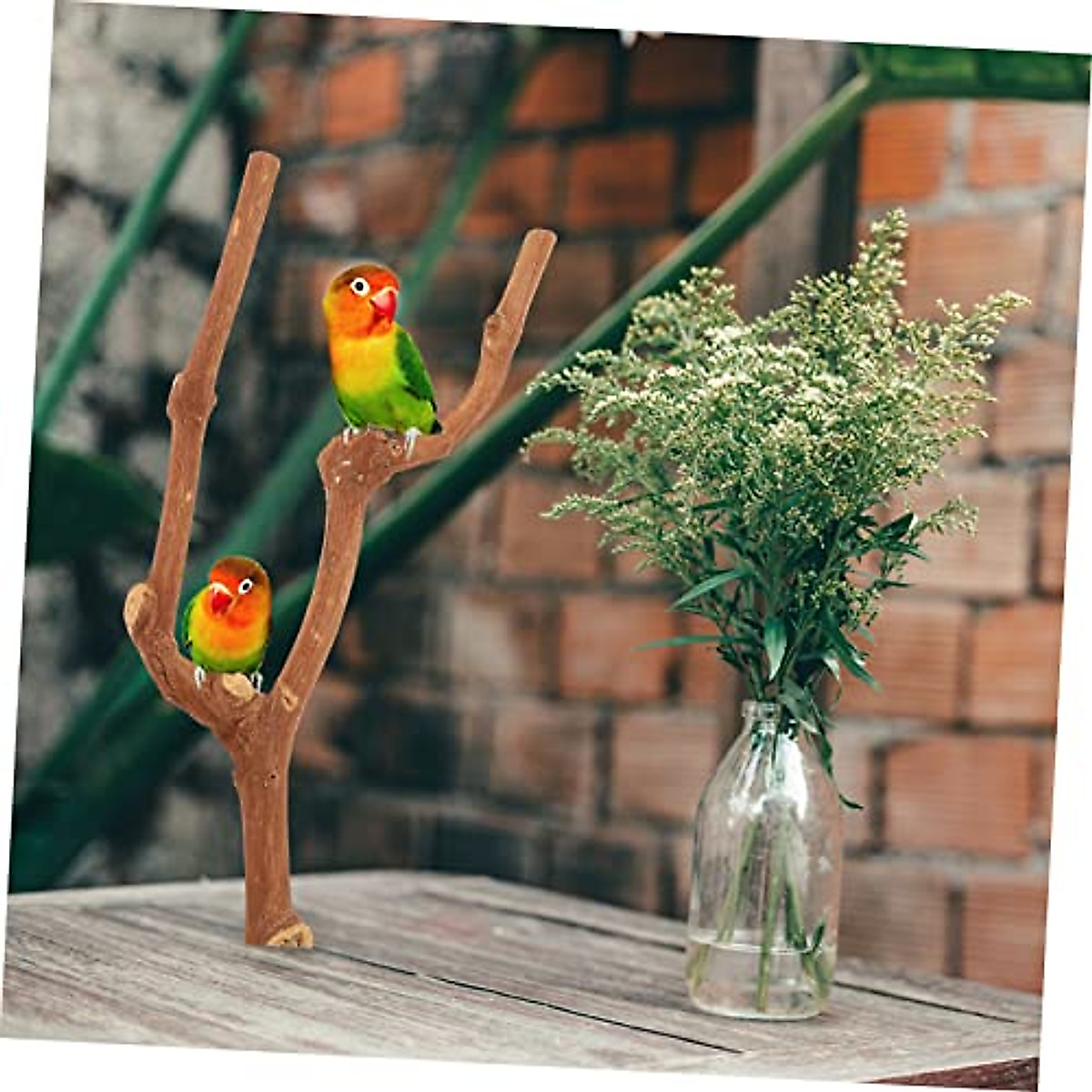 Budgie Cage Accessories Bird Screw Mount Toy- Bird Perch can Help Increase Pets' Activity Space, a Nice Toy for Parrot. It Will give Them a Good Experience.