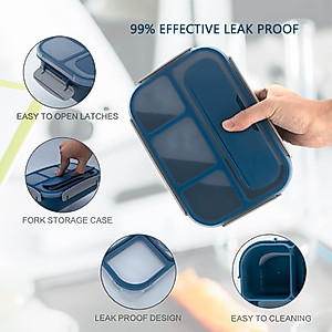 HappyRhino Bento Lunch Box for Kids Adult,4 Compartment Bento Box Adult Lunch Box Containers,Kids Lunch Box with Fun Accessories Silicone Food Cake Cups, Cute Food Picks for Kids,Easy to Clean (BLUE)