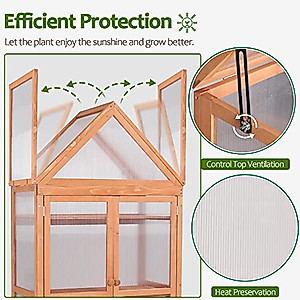 MCombo Greenhouse Cold Frame Wooden Garden Raised Flower Planter Shelf with Hard Translucent PC Protection, 0800 (Orange)