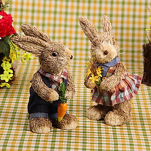 Alapaste Standing Easter Bunny Figures,9.1inch Funny Sisal Easter Bunny Wearing Clothes Holding Carrot for Party and Home Garden Decor,Great Gifts for Children Friends Family