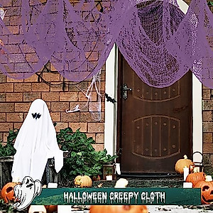 Riare 6 Pack Halloween Creepy Cloth 30 x 75 Inch- Spooky Scary Fabric Black Gauze Cloth for Halloween Party Haunted House Home Wall Doorway Outdoors Decoration(2 Black, 2 Purple, 2 White)