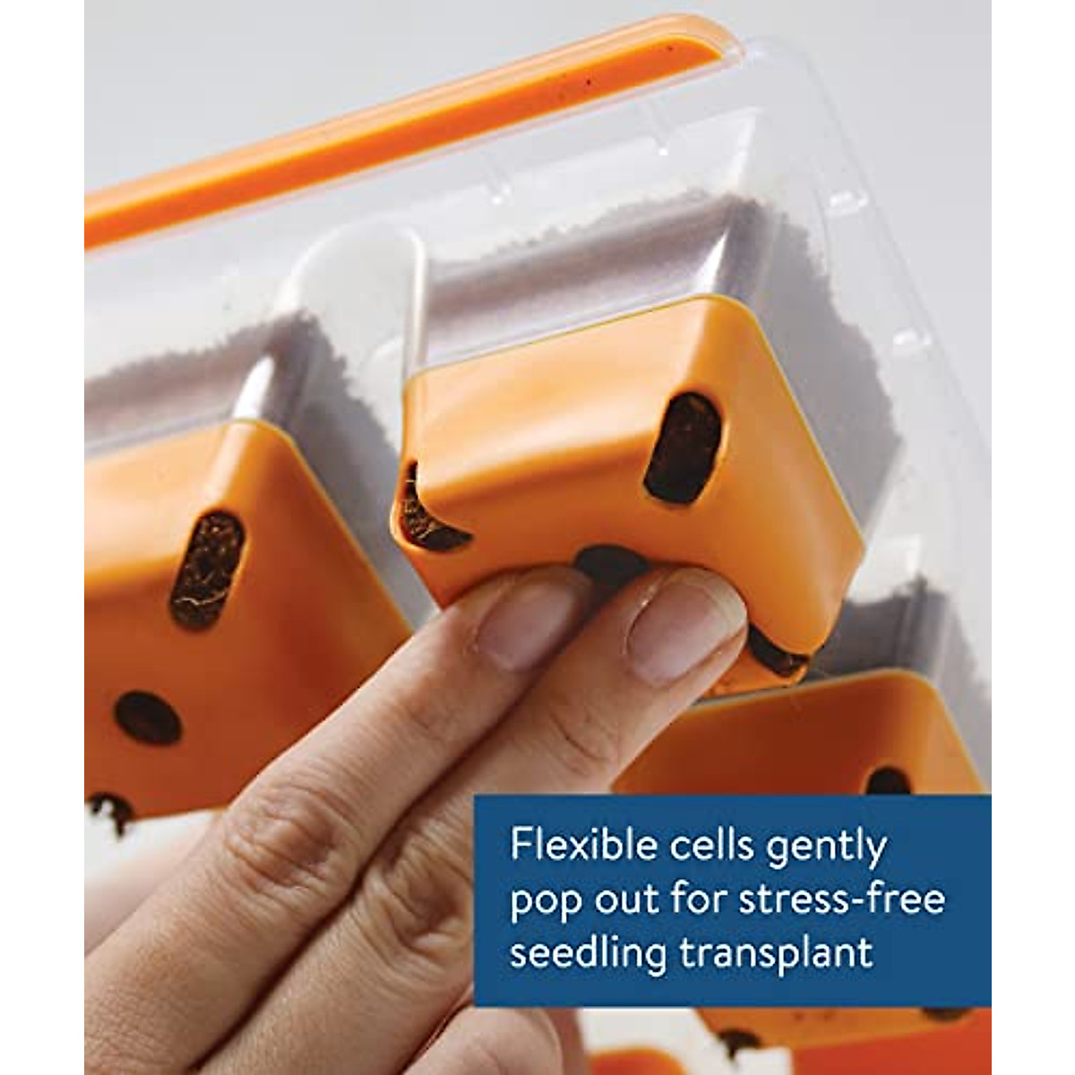 Burpee SuperSeed Windowsill Seed Starting Tray | 8 XL Cell | Seed Starter Tray | Reusable & Dishwasher Safe | for Starting Vegetable Seeds, Flower Seeds & Herb Seeds | Window Garden Seed Starting Kit