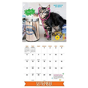 Kitten Lady's Big Year of Little Kittens 2021 Wall Calendar