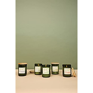 Paddywax Eco Collection Scented Soy Wax Jar Candle, 8-Ounce, Verbena & Lemongrass