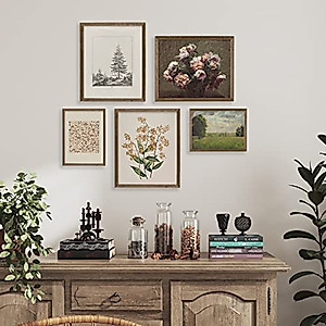 Vintage Botanical Wall Art Decor - Farmhouse Wall Decor for Bedroom Living Room Bathroom - Flower Poster Floral Pictures Plant Wall Prints for Kitchen Decor - Rustic French Country Room Decor Set of 5