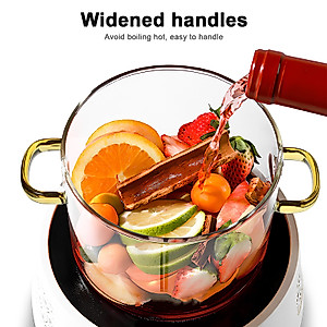 GANAZONO Glass Cooking Pot Glass Stovetop Pot Clear Pot Glass Cookware Glass Saucepan 2300ml