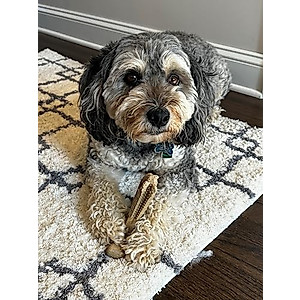 SPOT Bam-Bones Plus T Bone - Bamboo Fiber & Nylon, Durable Long Lasting Dog Chew for Aggressive Chewers – Great Toy for Adult Dogs & Teething Puppies Under 90lbs, Non-Splintering, 7in Chicken Flavor