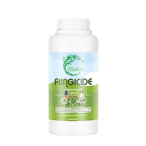 Nasticide Fungicide Made of Plant extracts, Natural Fungicide for Plants, Pesticide Concentrate Spray, Organic Disease Control Fungicide for Lawns, 8oz