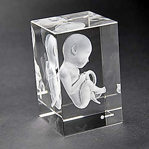 Warp United Crystal 3D Human Baby Fetus 1lb 2 x 2 x 3 Inches Optical Glass Paperweight