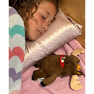 The Tooth Brigade Tooth Fairy Pillow | Fun and Interactive Stuffed Plush Toy with Large Pocket for Lost Teeth, Treasures, Prizes - Perfect for Kids, Boys, & Girls Gift (Twigs Moose)