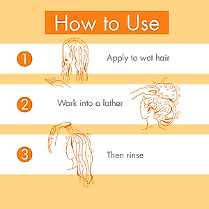 Klorane Nourishing Shampoo With Mango Butter, Moisturize and Hydrate Dry Hair, Paraben, Silicone, Sls Free, Travel Size, 3.3 Fl Oz (Pack of 2)