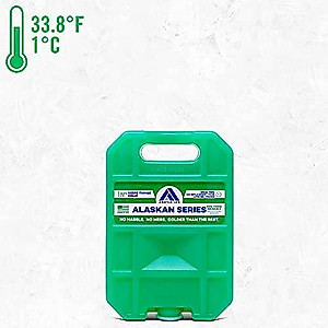 Arctic Ice Alaskan Series, Long Lasting Reusable Ice Pack, Small, 0.75 lb, Green