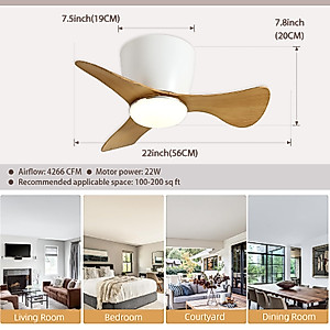GESUM Flush Mount Ceiling Fans with Lights, 22'' Small Ceiling Fans Remote & APP Control, 3CCT Dimmable, Quiet DC Motor for Patio Kitchen Bedroom