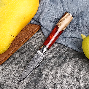 JUMCSONG 3.5 Inch Fruit Knife, 67 Layer Damascus Steel Blade Peeling Knife, Super Sharp Kitchen Knife