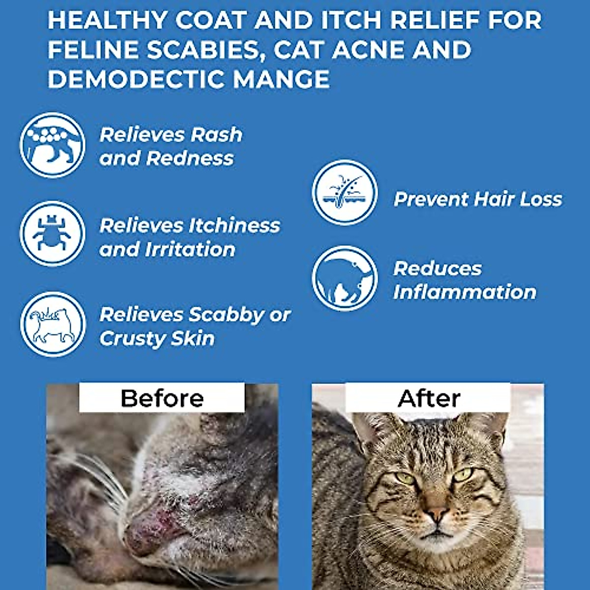 BestLife4Pets Demodectic Mange and Scabies Relief for Cats - Ear Mites & Itch Relief Supplements for Cat Itching Relief - Restores Healthy Feline Coat and Skin - Easy to Use Natural Pills