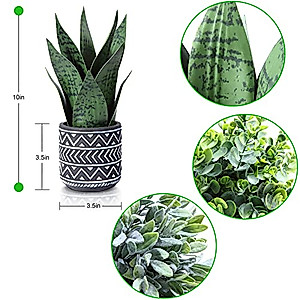 Kazeila 3 Pack Potted Fake Plants Artifical Snake Plant,Greenery Eucalyptus Leaves Plant and Flocked Sage Plant,Faux Desk Plants for Indoor Home Office Farmhouse Kitchen Bathroom Table Decor