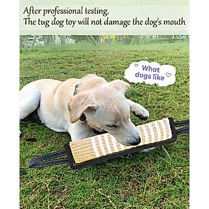 Clysrou Dog Tug Toy Dog，Tough Jute Bite Pillow - Durable, Training Equipment - Puppy to Large Dogs Interactive Toy.