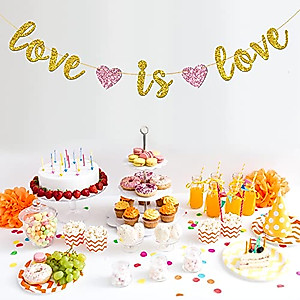 Gold Glitter Love is Love Banner, Lgbt Pride Party Decorations, Coming Out, Engagement, Wedding Celebrations Party Decor Supplies
