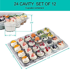 3unshine 24 Count Cupcake Containers, Set of 12 Plastic Cupcake Boxes Bulk, 24 Compartment Cupcake Holder with Detachable Lid,Disposable Muffin Carrier