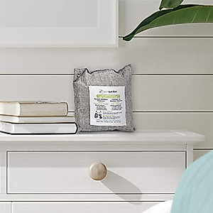 PureGuardian CB500 Bamboo Charcoal Air Purifying Bag, Eco-Friendly, Naturally Absorbs Odors, Excess Moisture and Pollutants, 500g, Gray