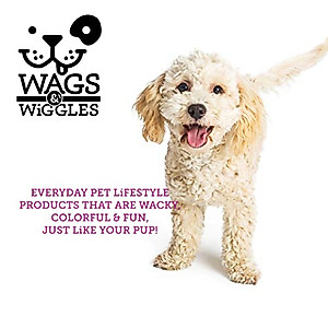 Wags & Wiggles Two-Sided Bristle and Squiggly Pin Brush for Small Dogs | Dog Brush for Dogs With Short Hair | Best Grooming Supplies for All Dogs, 2-in-1 Dog Grooming Brush