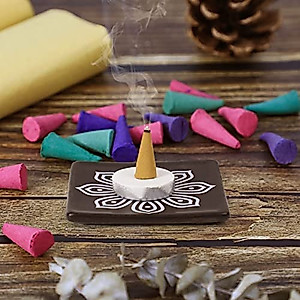Incense Cones 120 Pcs, with Incense Holder, Mixed Natural Scents Deco Sandalwood Lavender Rose Sage Cinnamon Eucalyptus Rainforest Violet, 8 Assorted Boxes