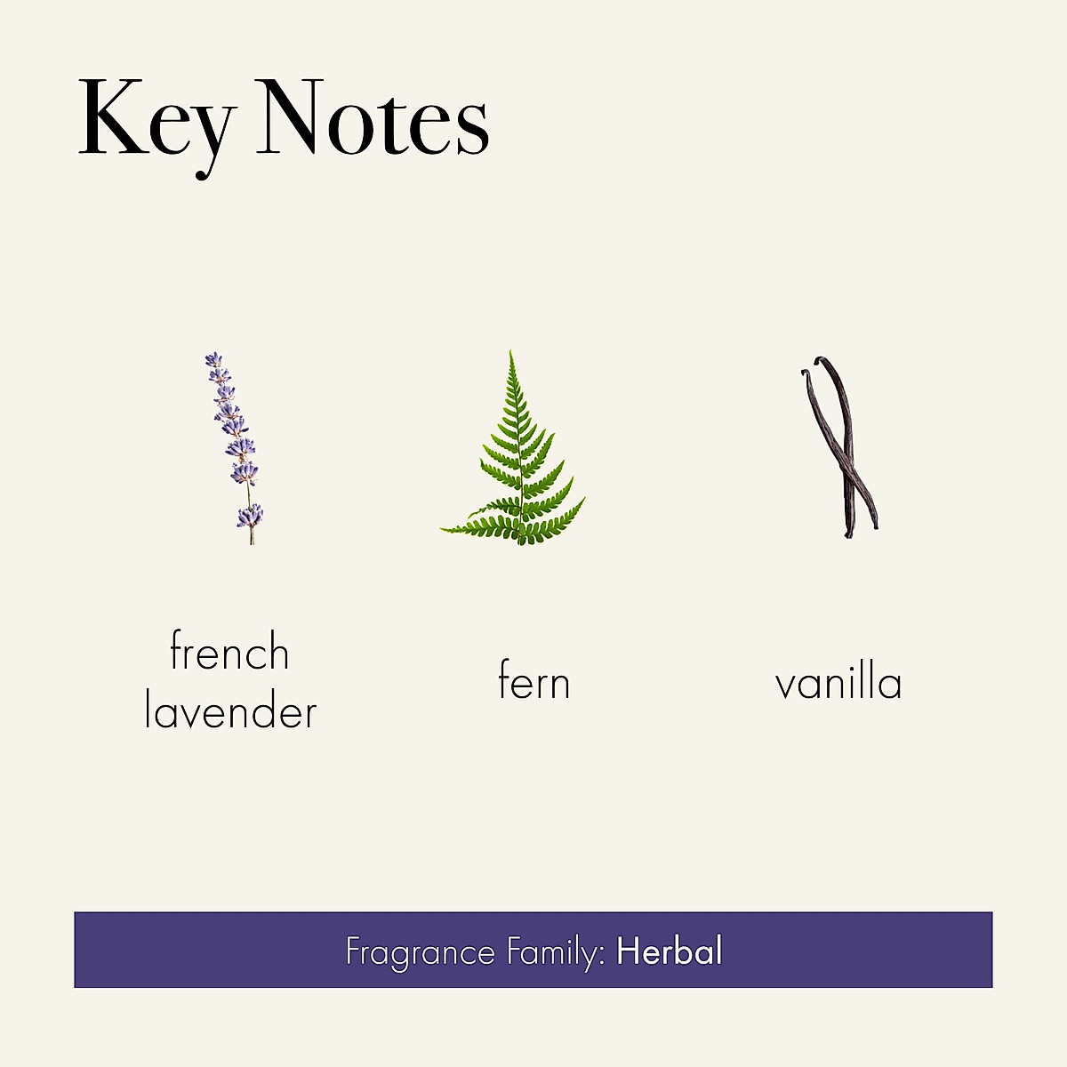 LAFCO Lavender Amber Signature Candle, Studio