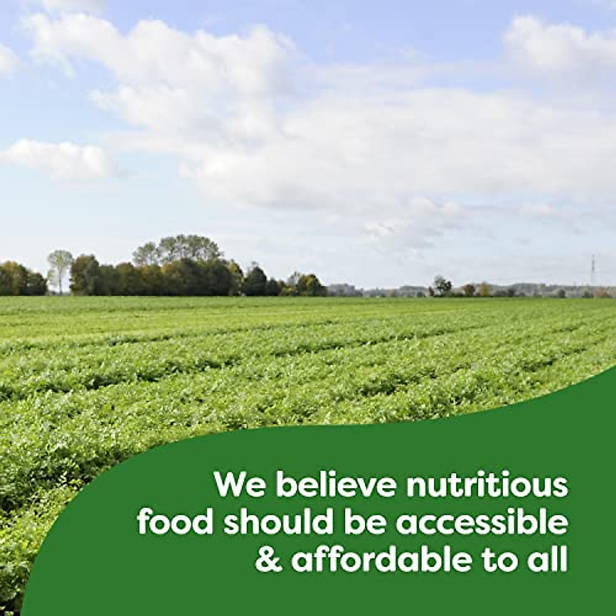 Knorr Pasta Sides For Delicious Quick Pasta Side Dishes Butter & Herb No Artificial Flavors, No Preservatives, No Added Msg 4.4 oz (Pack of 8)