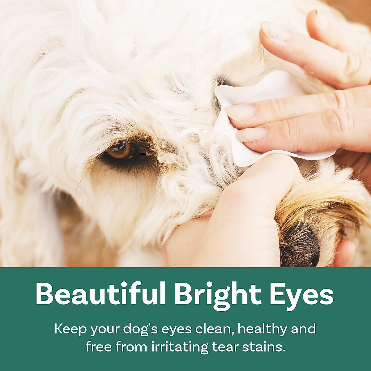 Pet Eye Wipes, Natural Tear Stain Remover for Dogs and Cats, 100 Pre-Soaked Eye Cleaner Wipes, Plant-Based for Gentle Cleaning, Brightens & Removes Dirt on Eyes, Ears and Face