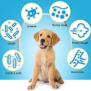 Kennel Cough for Dogs, 60Ml Kennel Dog Cough Treatment, Effective Relieving Dogs Cough Symptoms, Kennel Cough Medicine for Dogs Herbal Drops for All Breeds & Sizes, Supplement for Dogs Itch