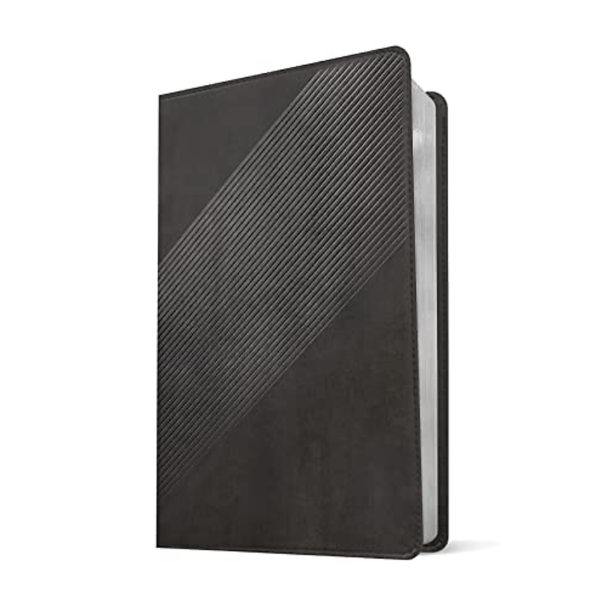 NLT Student Life Application Study Bible, Filament Enabled (LeatherLike, Charcoal Gray Striped, Red Letter)