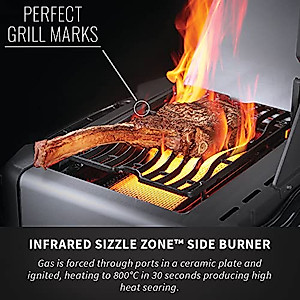 Napoleon P665RSIBPSS Prestige RSIB Propane Gas Grill, 665 sq. in + Infrared Side and Rear Burner, Stainless Steel