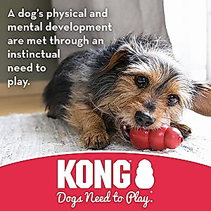 KONG - Stuff-A-Ball - Durable Rubber, Treat Dispensing and Teeth Cleaning Dog Toy - for Medium Dogs