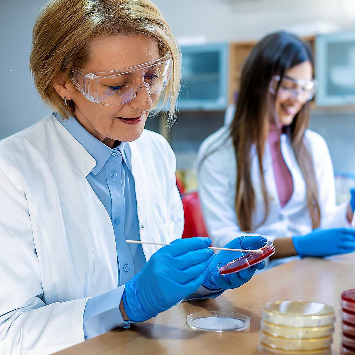 Garneck Set of Petri Dishes Pre-Filled with Agar - Ideal for Mushroom Cultivation Science Experiments & Projects Laboratory Essentials Child Stripe Specimen Collection 10pcs