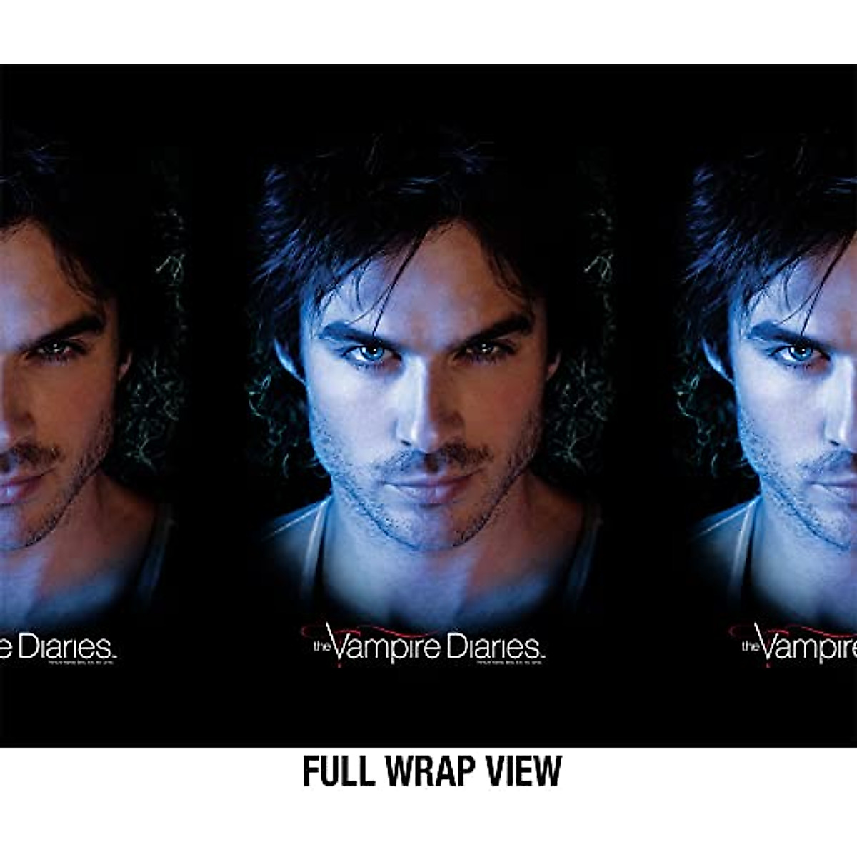 The Vampire Diaries OFFICIAL Damon 24 oz Insulated Canteen Water Bottle, Leak Resistant, Vacuum Insulated Stainless Steel with Loop Cap, Black