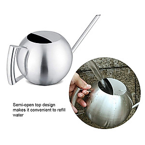 Fdit Long Spout Watering can for Indoor Plants Bonsai (1.0L)