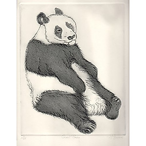 Giant Panda