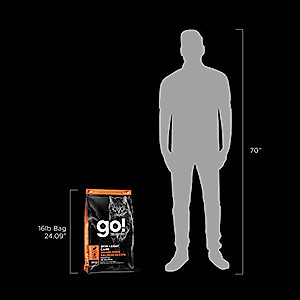 GO! SOLUTIONS Skin + Coat Care - Grain Free Dry Cat Food, 16 lb - Salmon Recipe - Cat Food for All Life Stages - with Probiotics