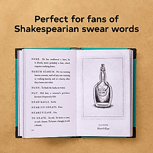 A Pocket Dictionary of the Vulgar Tongue: (Funny Book of Vintage British Swear Words, 18th Century English Curse Words and Slang)