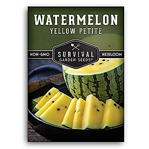 Survival Garden Seeds - Yellow Petite Watermelon Seed for Planting - Packet with Instructions to Plant and Grow Small Yellow Watermelons in Your Home Vegetable Garden - Non-GMO Heirloom Variety